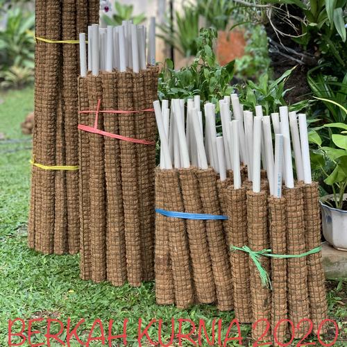 Jual Turus Penyanggah Tanaman Rambat Sabut Kelapa warna Coklat 50 ...