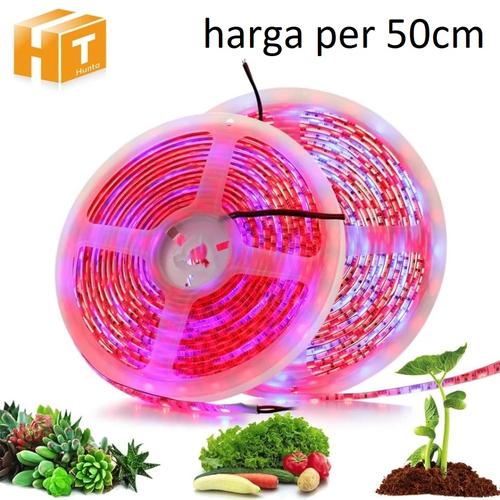 Jual 5050 LED Strip 12v Fitolamp Grow Light per 50cm untuk Pertumbuhan ...