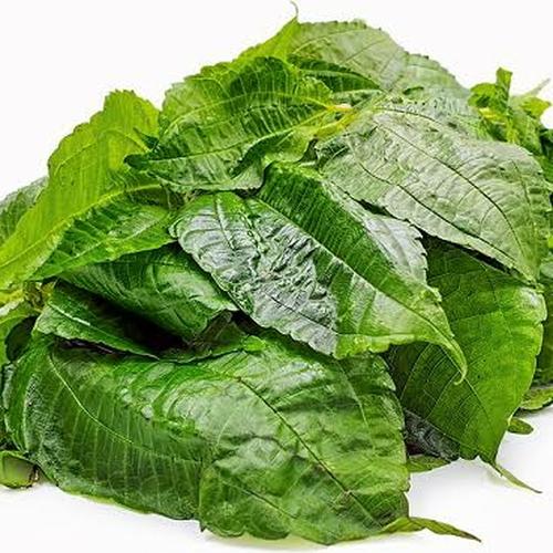 Jual Daun Pohpohan Per Ikat - Jakarta Pusat - Nyonya Sayur | Tokopedia