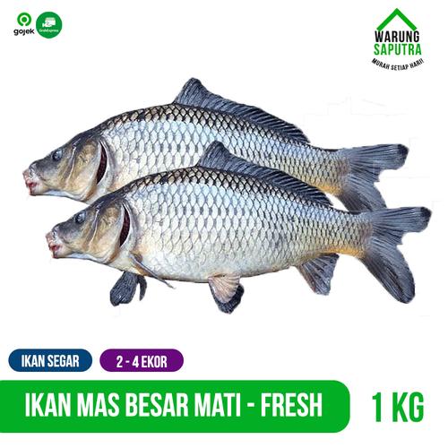 Jual Ikan Mas Besar Subang Segar Mati 1 kg - Kecil Hidup - Kota Bandung ...