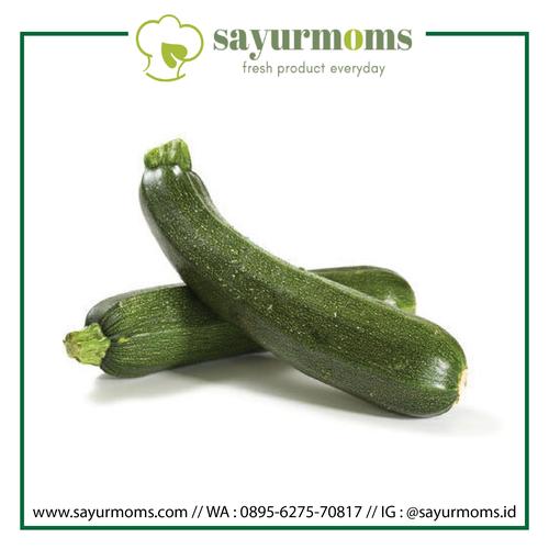 Jual ZUCCHINI SEGAR SURABAYA [500 GR ~ 1 KG] / SAYURAN SEGAR - 500 gr ...