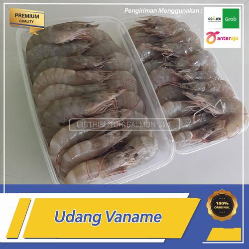 Jual UDANG VANAME SEGAR JUMBO / UDANG VANAME FRESH TERMURAH - 500 gram ...