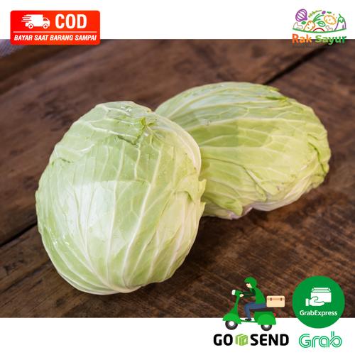 Jual Sayuran Segar Rak Sayur Padang Fresh Kol Putih Kubis 1Kg Buah ...