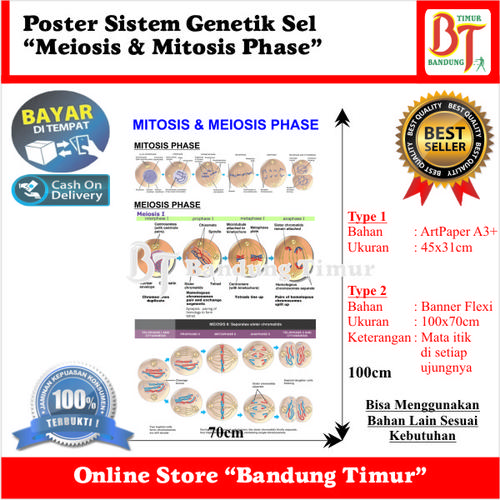 Jual POSTER SISTEM GENETIK SEL MEIOSIS DAN MITOSIS PHASE - Banner Flexi ...