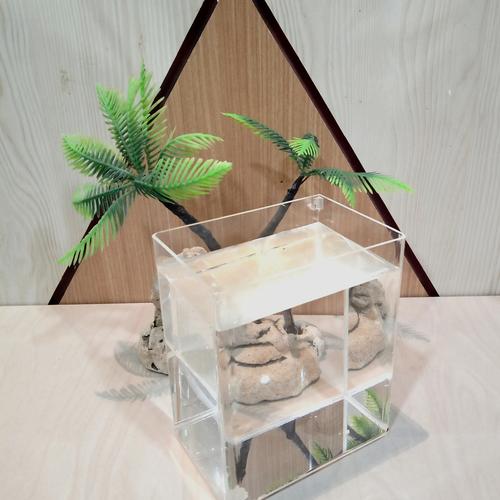 Promo Soliter akrilik 10 x 7 x 12 + Soliter Cupang + Akuarium Cupang ...