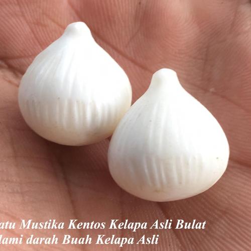 Jual Batu Kentos Kelapa Bulat Asli dari Buah Kelapa Sepasang 02 - Kab ...
