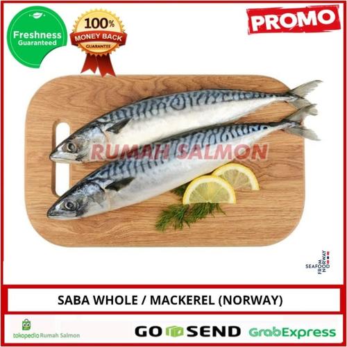 Jual Ikan Norwegian Saba Premium Mackerel kg/ Ikan Makarel / Ikan Saba ...