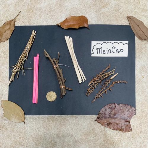 Jual Ranting Putih Coklat Kecil Kering Batang Tangkai Kayu (5 biji ...