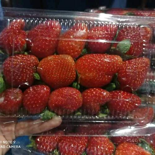 Jual BUAH SEGAR STRAWBERRY PER PACK - Jakarta Barat - Fresh Fruit Shop1 ...