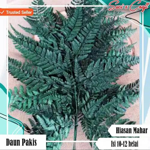 Jual DAUN PAKIS KERING DAUN PAKU KERING HIASAN MAHAR RUSTIK RUSTIC ...