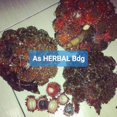 Jual Buah parahulu rambutan tanah segar 500 gram - Kab. Bandung Barat ...