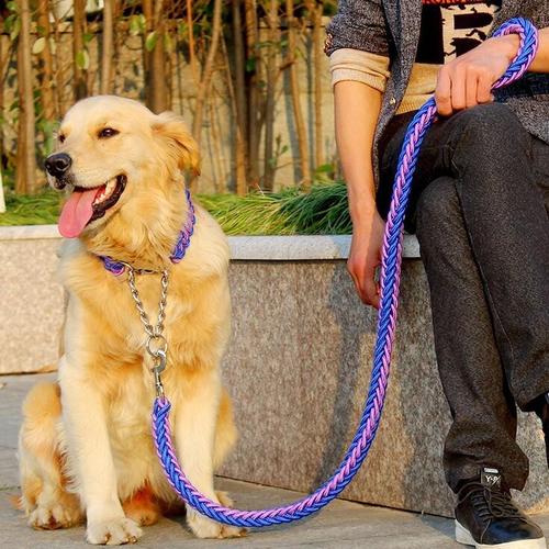 Jual Tali Tuntun Anjing Besar / Dog Leash Kepang + Collar Kepang - Kota ...