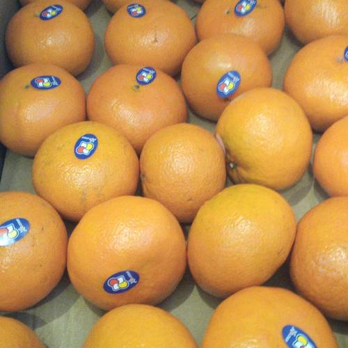 Jual Jeruk Honey Murcot Fresh Mandarin Honey Murcot Oranges Segar ...