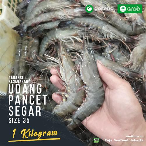 Jual Udang Pancet Sz 35 1Kg / Udang Tiger / Udang Windu - Jakarta Utara ...