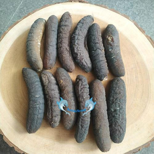 Jual Haisom Asli Belitung isi 15pcs 500GR / Teripang / Hoisem / Lintah ...