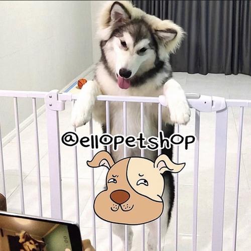 Jual Pagar pembatas hewan / gate anjing kucing tinggi 1 M / kandang ...