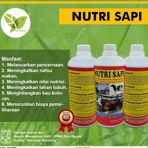 Jual Nutri Sapi - Nutrisi Pertumbuhan dan Efisiensi Pakan Sapi dan ...