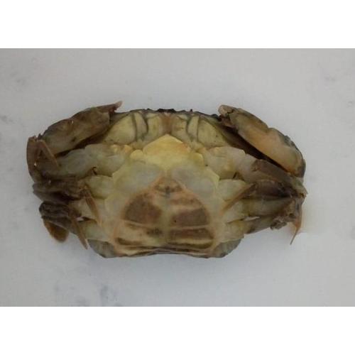 Jual Kepiting Soka Frozen - Jakarta Utara - Yums Kitchen | Tokopedia