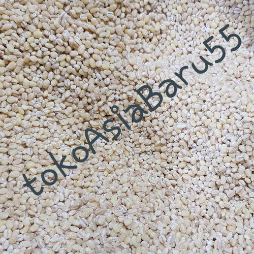 Jual Hanjali 500gr / Jali Belanda / Hanjeli jali / Barley - Kota ...