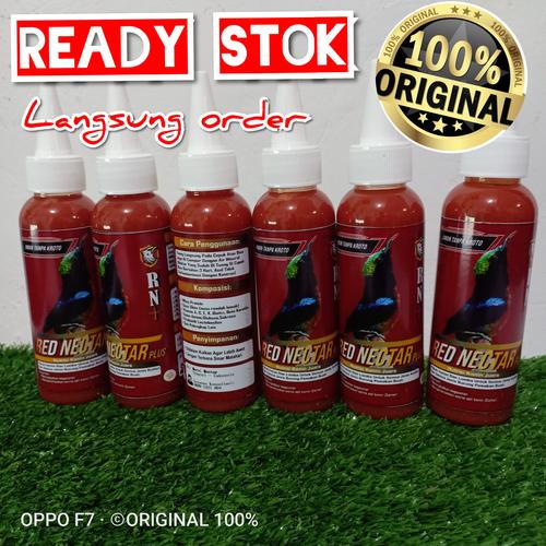 Jual NEKTAR/NECTAR KONIN KOLIBRI NINJA SOGON, RED NECTAR PLUS (RN+ ...
