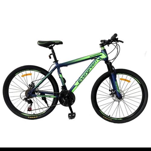 Jual Sepeda Gunung Evergreen Ranger 530 Disc Brake 26 Inch Green ...