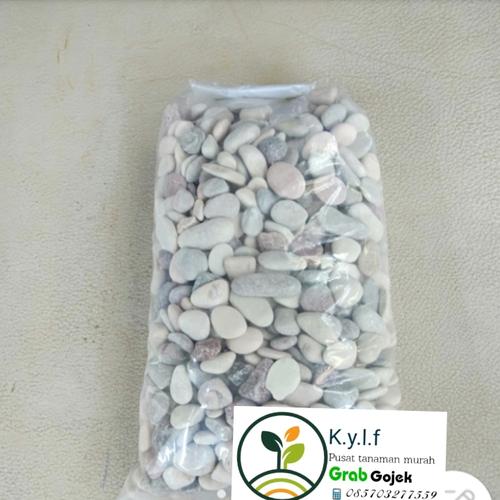 Jual batu coral panca warna/batu hias / batu tabur - Jakarta Utara ...