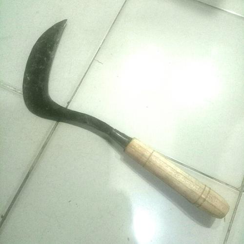 Jual arit potong rumput celurit potong rumput - Jakarta Selatan ...