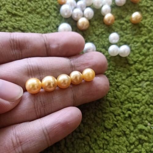 Jual butiran mutiara laut gold original asli lombok / south sea pearl ...