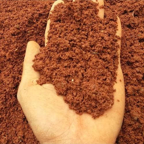 Jual Tanah merah 1kg / tanah merah - Kab. Bogor - Karya Alam Plants ...