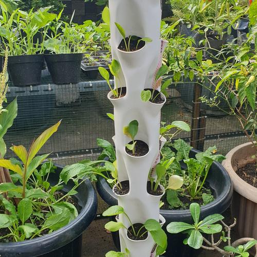 Jual Pot Berdiri | paralon berlubang | pot tanaman - Kota Tangerang ...