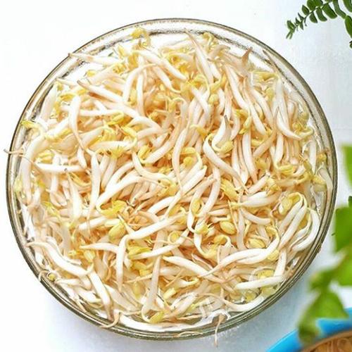Jual Tauge Toge 500gr - Kota Depok - Kebon Babeh By Exentric Store ...
