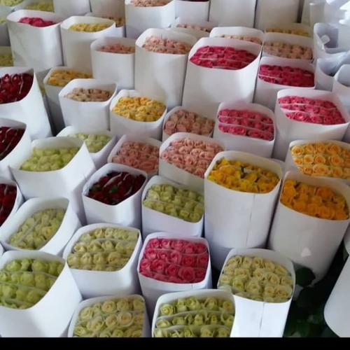 Jual Bunga Mawar Asli Segar - Jakarta Barat - Dilla Flowers | Tokopedia