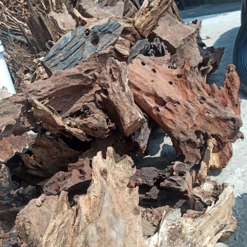 Jual Kayu Rentek Aquascape Hardscape Aquascape Kayu Rentek - Kota Depok ...