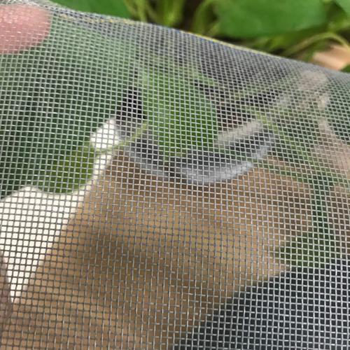 Jual Kawat Nyamuk Fiberglass Tinggi 90cm Kasa Nyamuk Fiber - Lubang ...