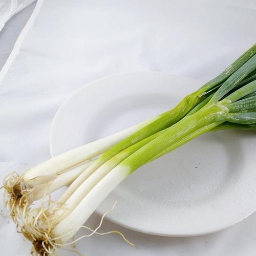 Jual Daun Prei / Daun pre / Daun Prai / Berat 250 gram - Kota ...