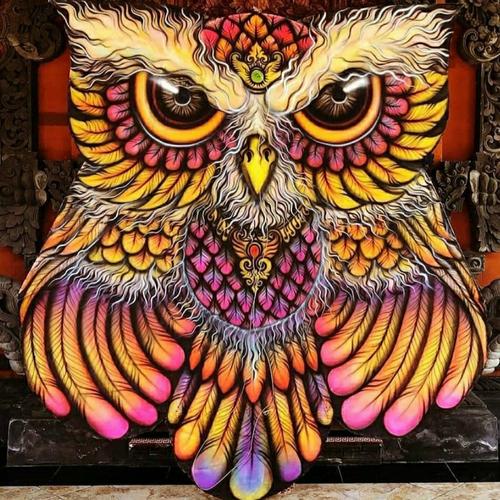 Jual layangan celepuk (burhan) print 100 x 80cm - Kab. Badung ...