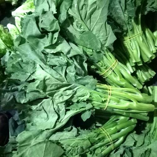 Jual sayur kailan segar 500gr. - Jakarta Barat - lapak sayur fresh ...