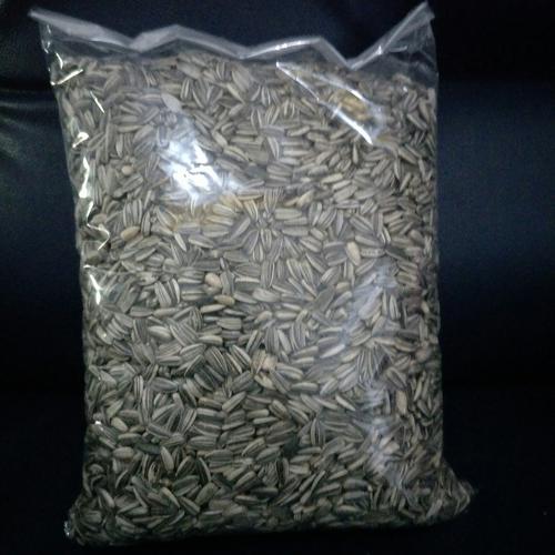Jual kuaci 1kg/kuaci pakan burung/kuaci burung/kuaci makanan burung ...
