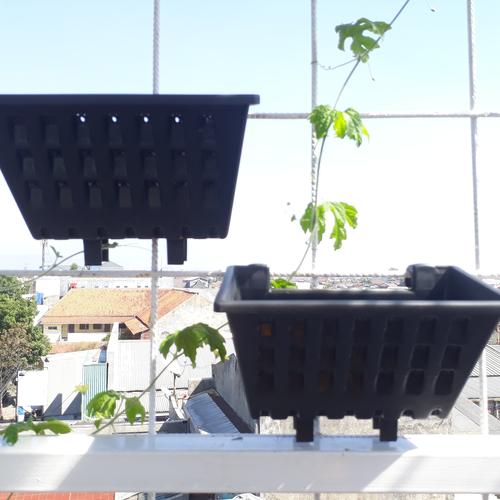 Jual pot argo 01 hitam, pot tempel, pot tanaman merambat - Hitam - Kota ...