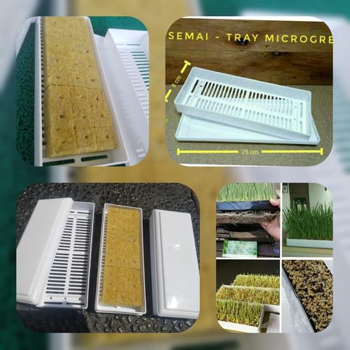 Jual Tray Semai Microgreen-Tray Semai Hydroponik - Kota Tangerang ...