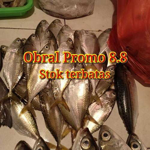 Jual Ikan kembung gepeng segar - Kota Bekasi - IKAN BASAH RIZAL | Tokopedia