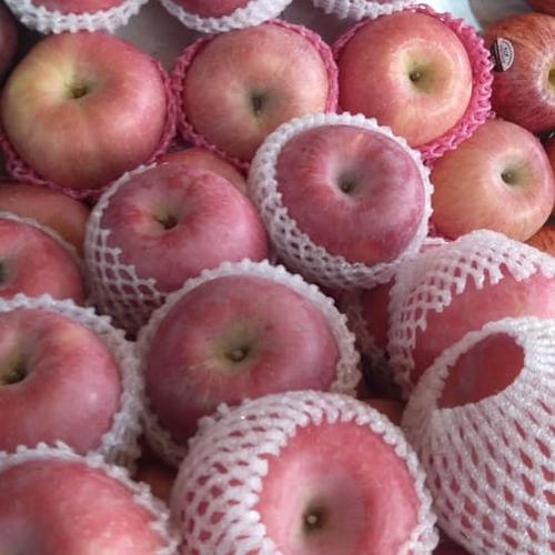 Jual buah apel fuji rosy 1kg | buah segar bandung - Kota Bandung - nuri ...