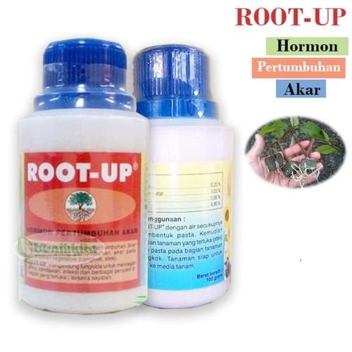 Jual Hormon Root Up Root-Up ZPT Hormon Pertumbuhan Akar 100 Gram - Kota ...