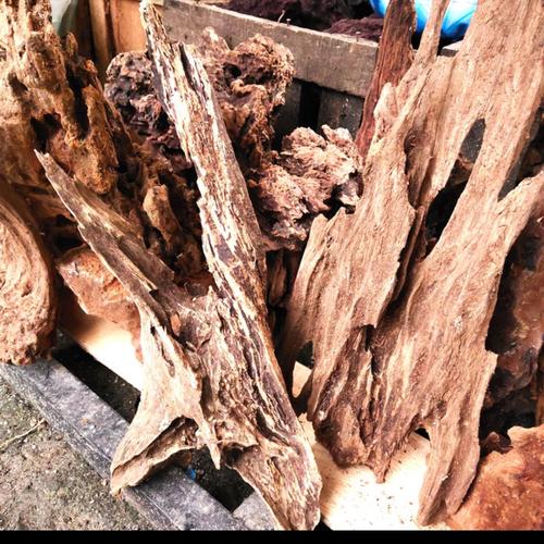 Jual Hiasan Aquarium Hiasan Aquascape Kayu Rentek Hardscape Kayu Rentek ...