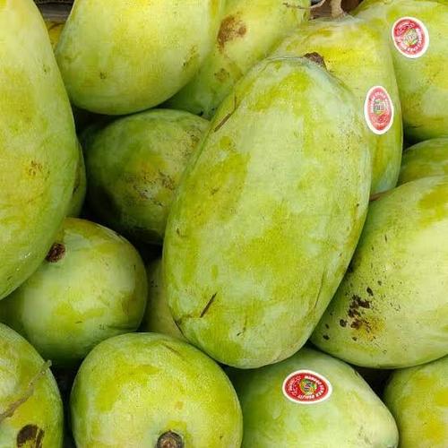 Jual mangga budi raja /1 kg - Jakarta Timur - Pasar induk kramatjati ...