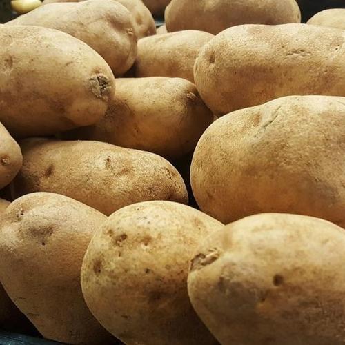 Jual Kentang Bromo Fresh Size Besar Potato - 500 gram - Kota Surabaya ...
