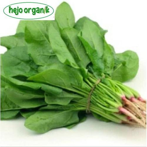 Jual HORENZO HORENSO POLENG BAYAM JEPANG FRESH SAYUR ORGANIK SEGAR ...