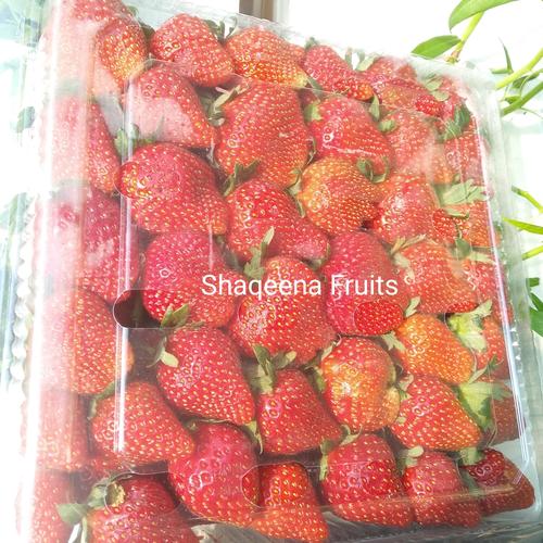 Jual Strawberry Segar Organic Fresh Jepang Japan 1Kg - 500 gram ...