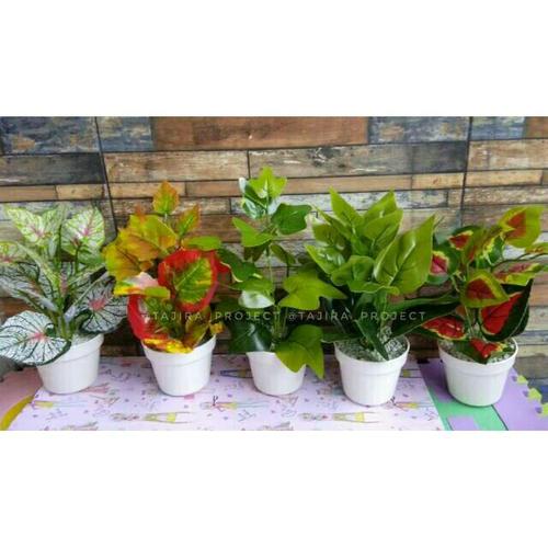 Jual Tanaman Hias Artificial Daun Artificial pohon mini monstera ...