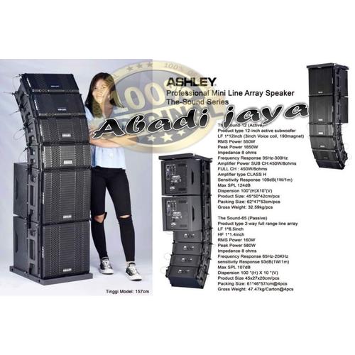 Jual PROFESIONAL MINI LINE ARRAY ASHLEY SPEAKER THE SOUND SERIES ...